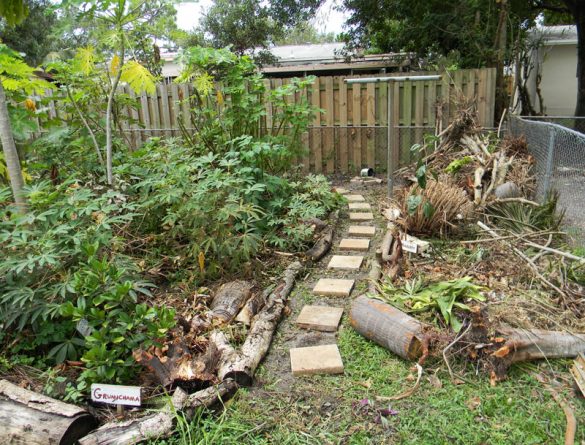Three Ways to Use Logs In Your Garden (Instead of Throwing Them Away ...