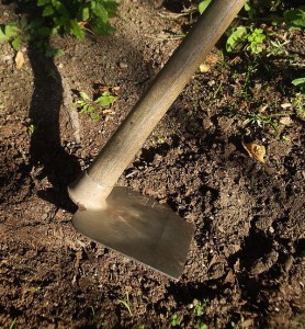 The Top 5 Best Garden Hoes | The Survival Gardener