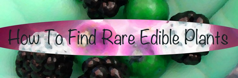 How To Find Rare Edible Plants | The Survival Gardener