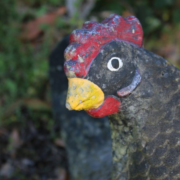 Chickens 101: What Is the Best Chicken Coop Design? | The Survival Gardener