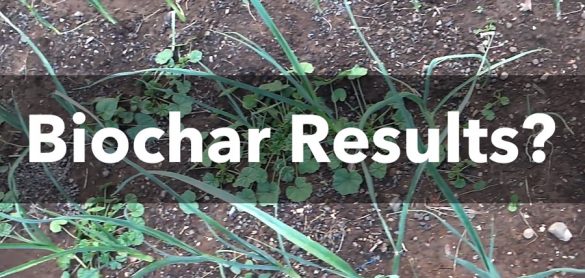 Does Biochar Really Work? | The Survival Gardener