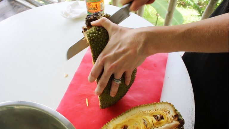 Open a Jackfruit the Easy Way: an Illustrated How-to Guide to Opening a ...