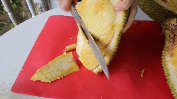 Open a Jackfruit the Easy Way: an Illustrated How-to Guide to Opening a ...