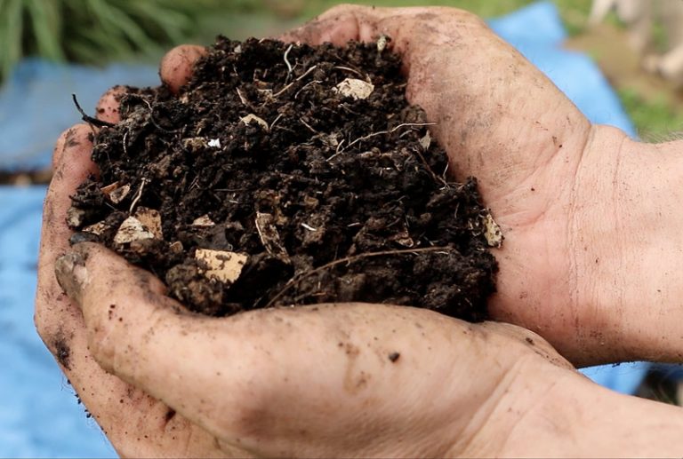 My Continuous Composting Pile Method | The Survival Gardener