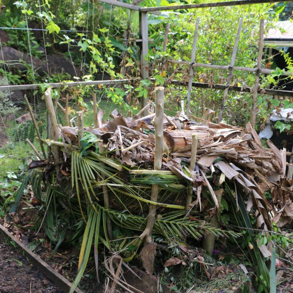 How to Make a Simple Compost Pile with Local Materials