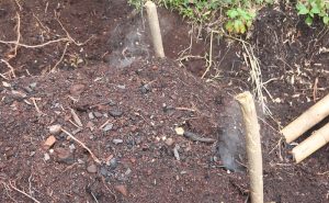 Primitive Charcoal Making/Biochar Production | The Survival Gardener