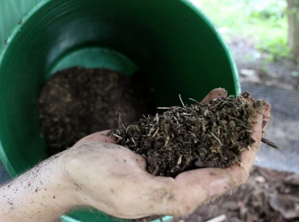 Composting Animals | The Survival Gardener