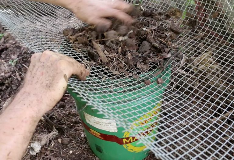 Back To Eden Chicken Run Composting | The Survival Gardener