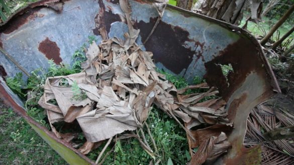 Continuous Composting | The Survival Gardener