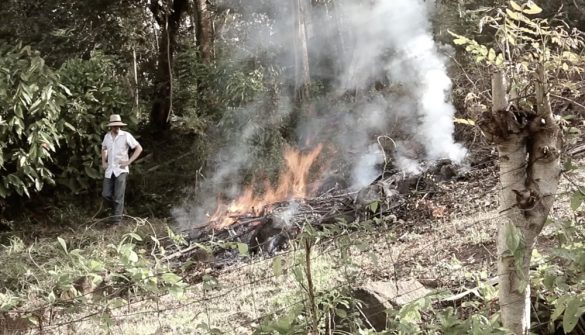 Improving Soil Fertility via Burning | The Survival Gardener