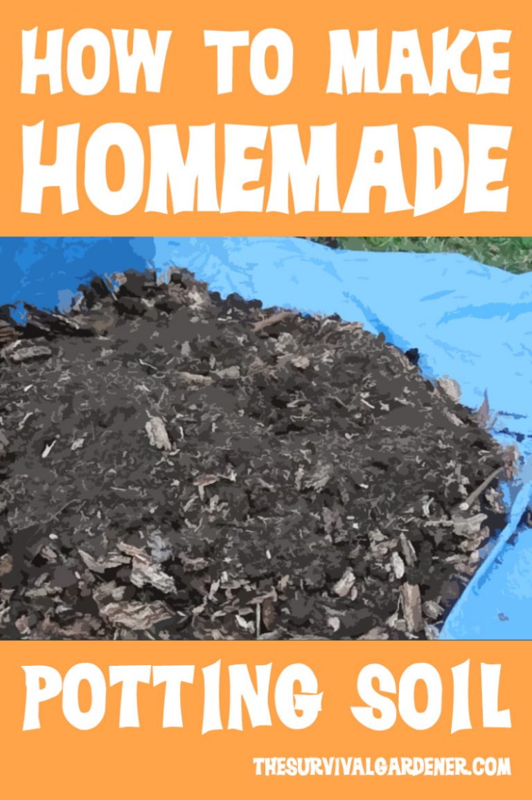 How to Make Homemade Potting Soil With Three Simple Ingredients | The ...
