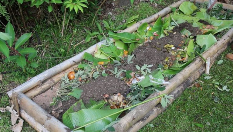 Easy Lasagna Gardening the FREE Way | The Survival Gardener