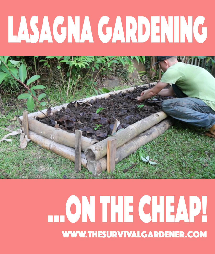 Easy Lasagna Gardening the FREE Way | The Survival Gardener