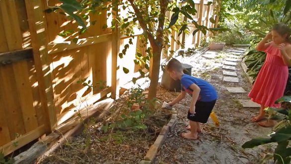 Feeding the Trees | The Survival Gardener