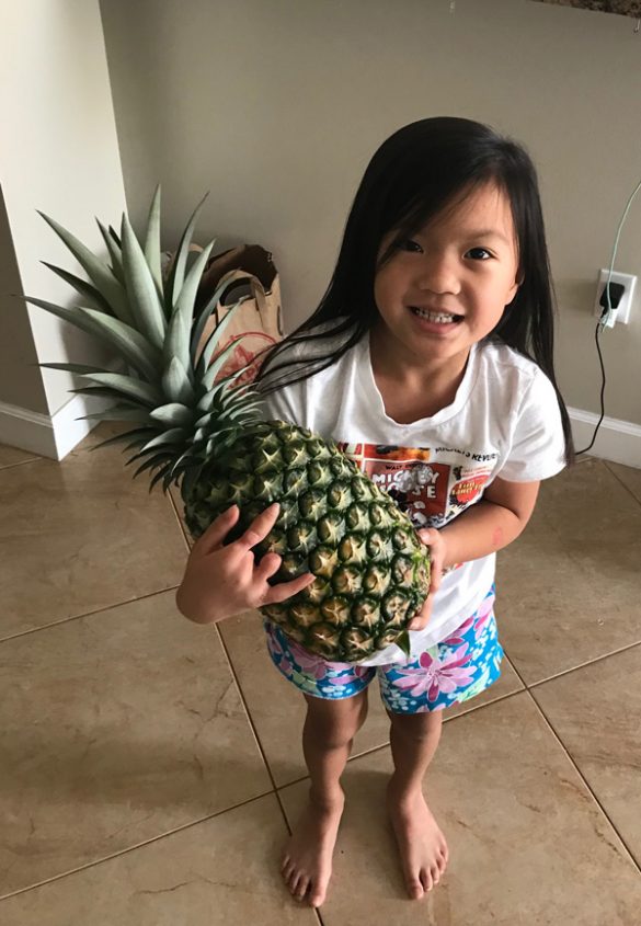 How to Grow A Giant Pineapple | The Survival Gardener