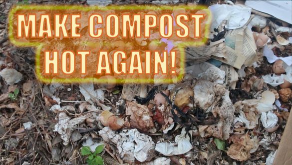Four Tricks to Make Compost Hot Again | The Survival Gardener