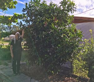 Mom with Her Chocolate Pudding Fruit Tree | The Survival Gardener