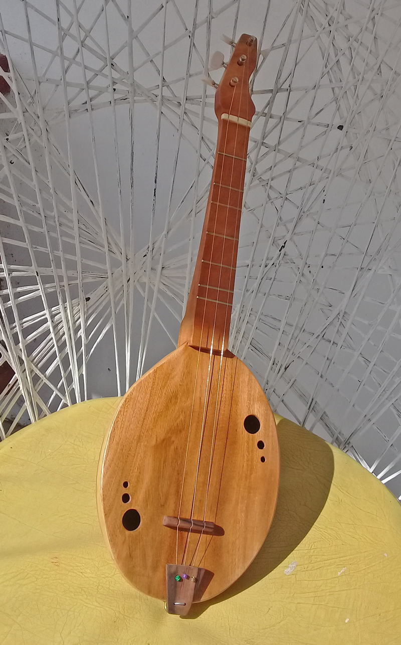 My Calabash Stick Dulcimer | The Survival Gardener