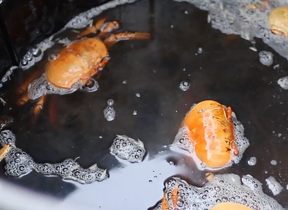 How To Make Homemade Fish Emulsion / Fish Fertilizer the Easy Way | The ...