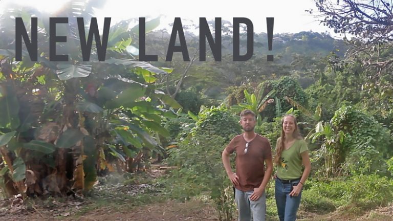 The Survival Gardener | The Official Site of Famous Gardening Author ...