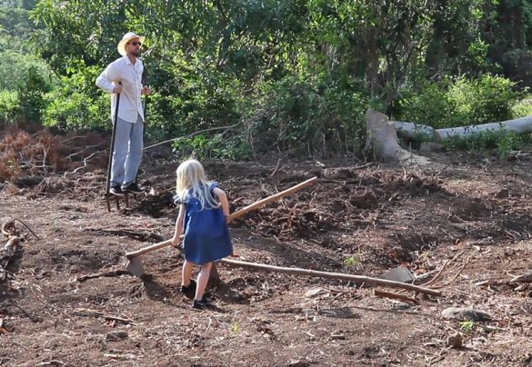 How To Plant and Grow Yams (Dioscorea spp.) | The Survival Gardener