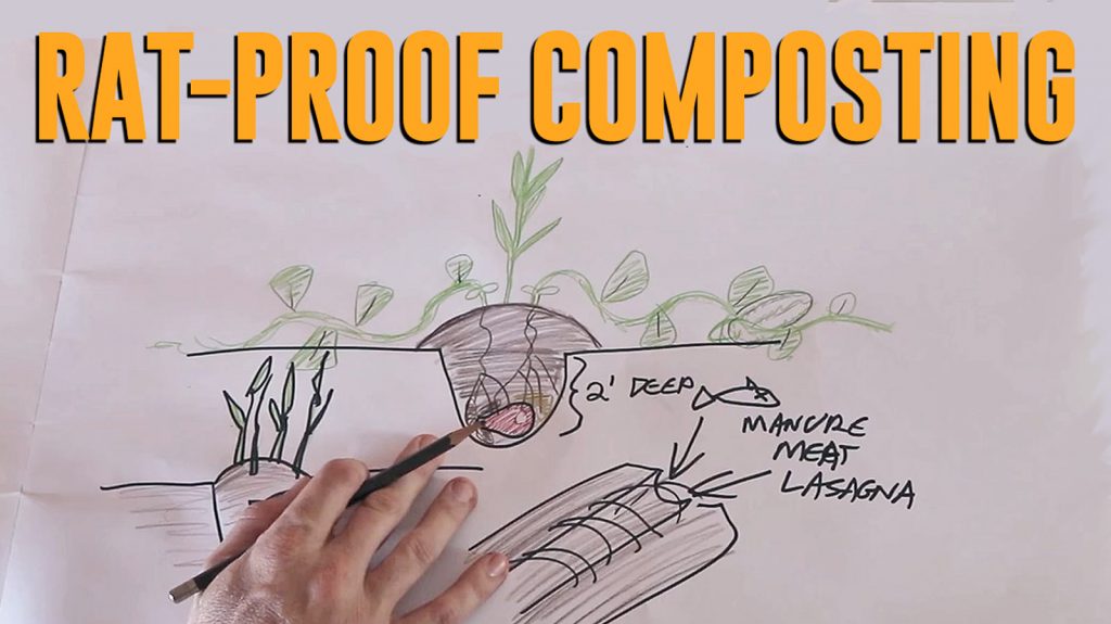 Comment of the Week on Composting Meat | The Survival Gardener
