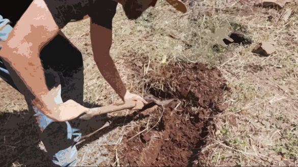 Double-Digging A Garden Bed | The Survival Gardener