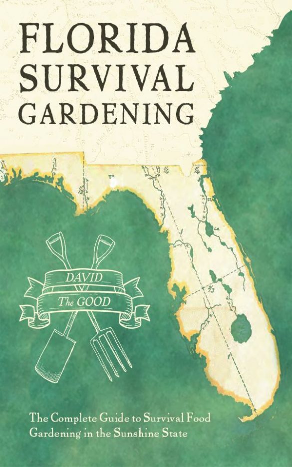 Survival Plant Profile: Florida Soapberry or Soap Nut Tree | The ...