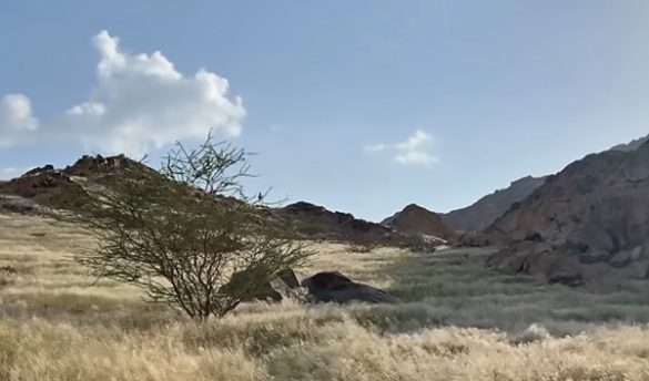 Beautiful results in Saudi Arabia at the Al Baydha Project | The ...