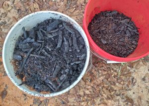 Making Small Batches of Biochar Without A Kiln | The Survival Gardener