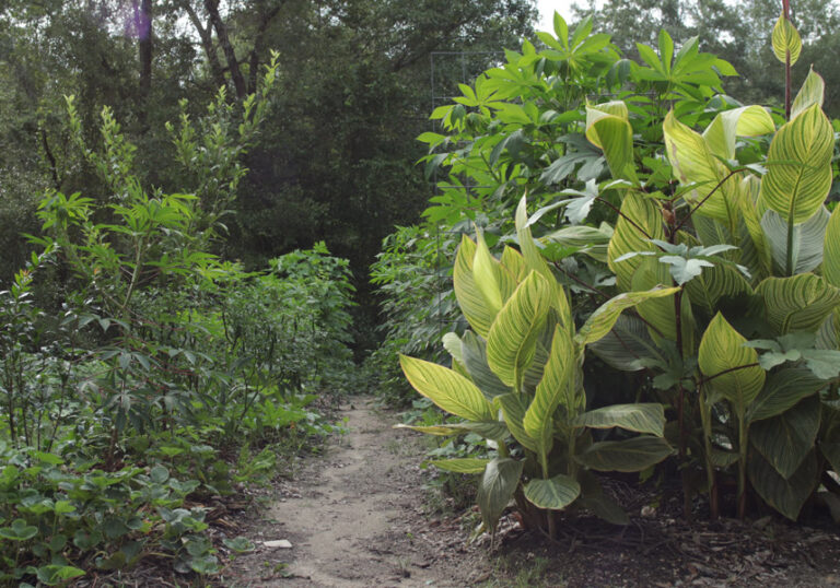 The Survival Gardener | The Official Site of Famous Gardening Author ...