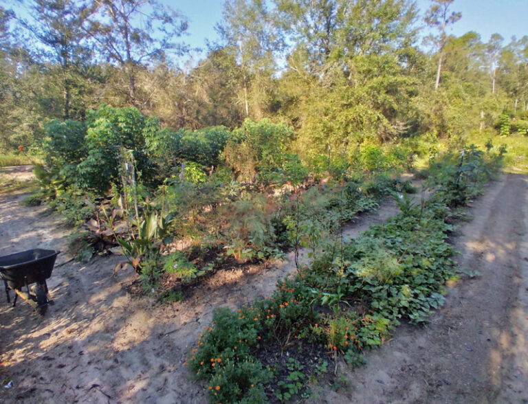 The Survival Gardener | The Official Site of Famous Gardening Author ...