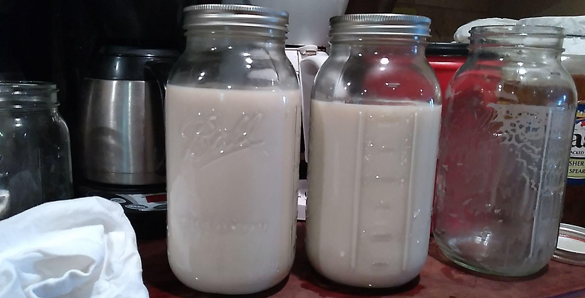 Fresh Milk! | The Survival Gardener