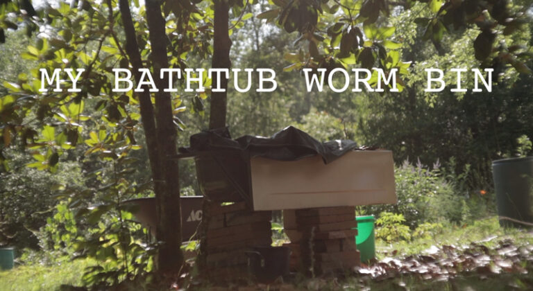 Easy Worm Composting with the Bathtub Worm Bin! | The Survival Gardener