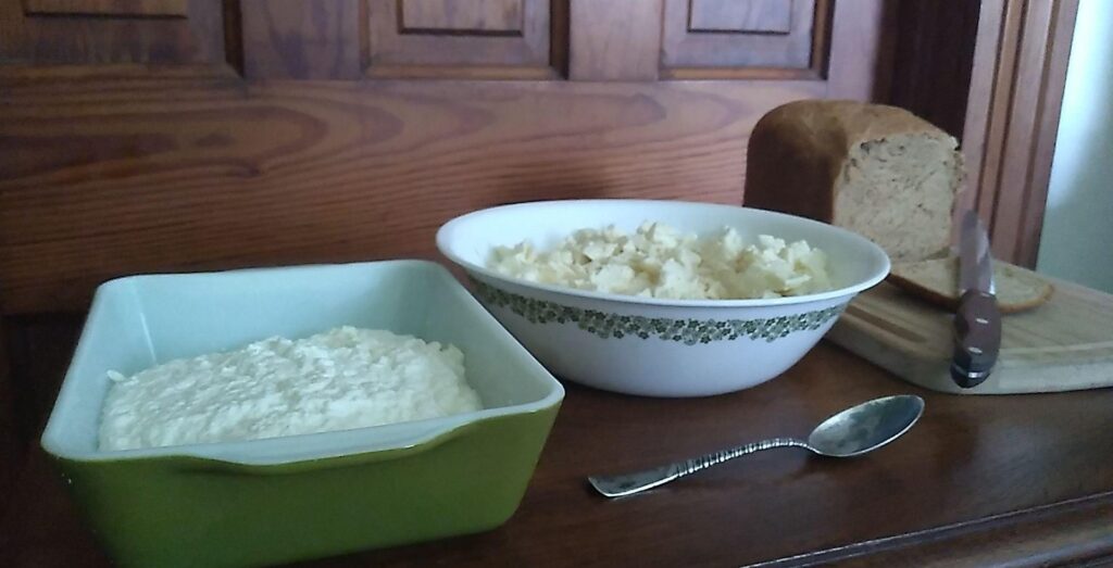 Making Hard Cheese from Raw Milk | The Survival Gardener