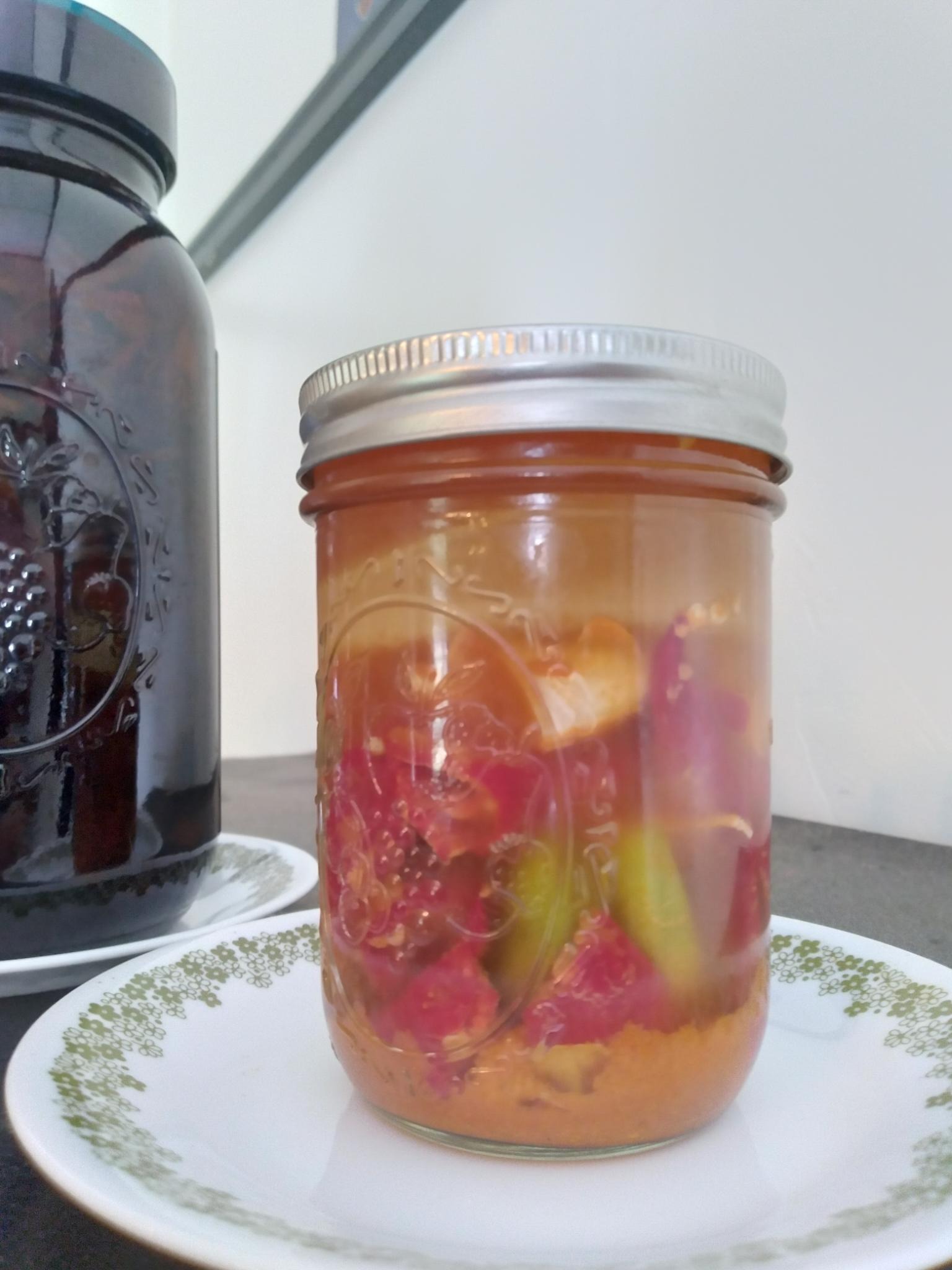 Fermenting Everything II | The Survival Gardener