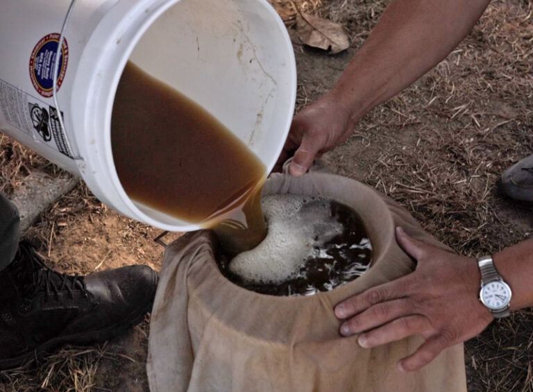 How to Make Cane Syrup: From Juicing to Boiling to Jarring Syrup | The ...