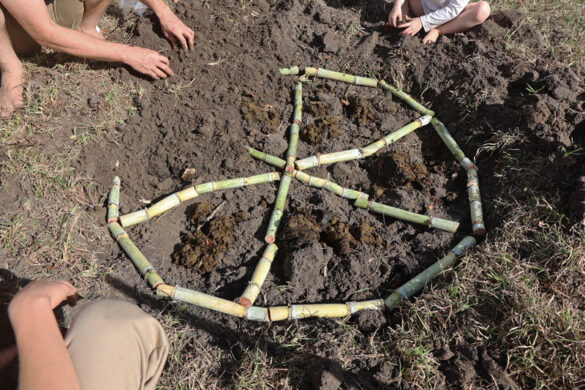 How To Propagate Sugarcane From One Node Two Node And Multi Node