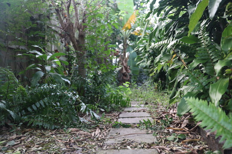 A Tale of Two Food Forest Design Approaches | The Survival Gardener