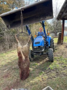 Backyard Pig Butchering: From Slaughter to Meat in the Freezer | The ...