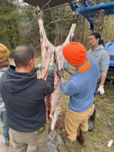 Backyard Pig Butchering: From Slaughter to Meat in the Freezer | The ...