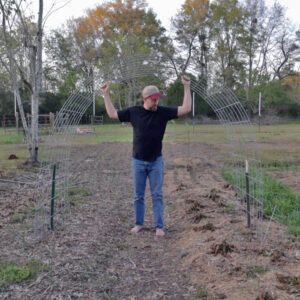 Making a Cattle Panel Garden Trellis: 3 Methods | The Survival Gardener