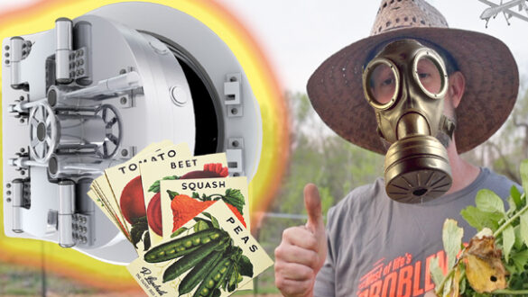 Start Your Own Survival Seed Vault | The Survival Gardener