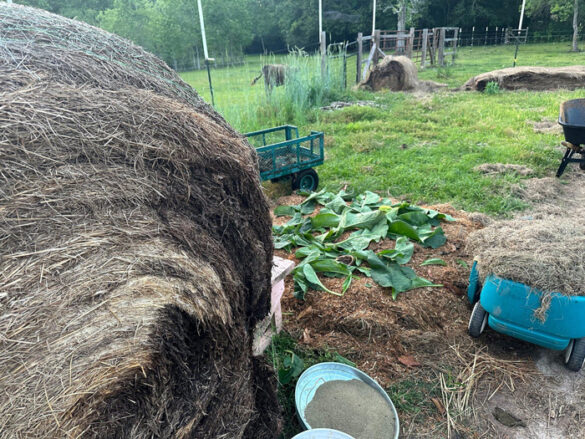 Making Our Own FAST Compost Pile | The Survival Gardener