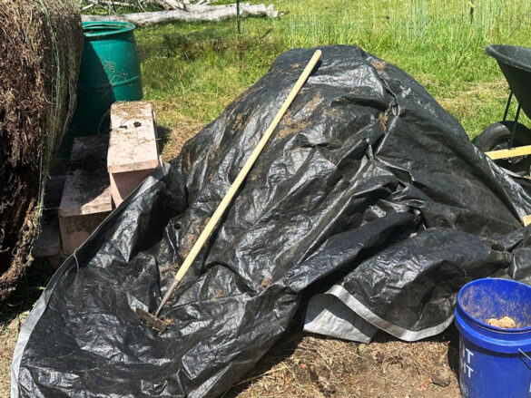 Making Our Own FAST Compost Pile | The Survival Gardener