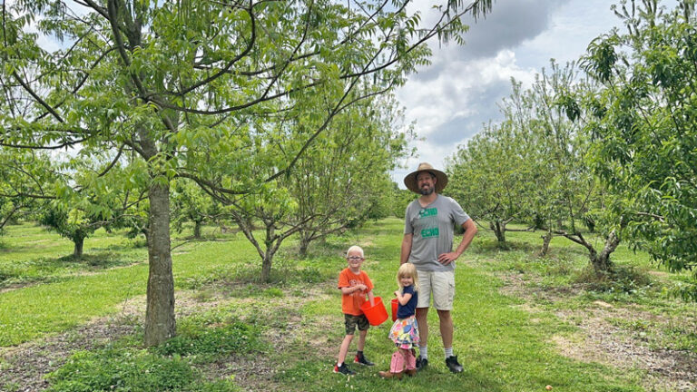 Orchards vs. Vegetable Gardens: Why Not Combine Them? | The Survival ...