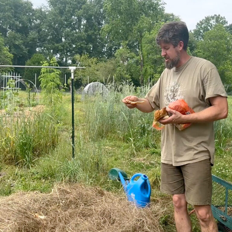 Why Would You Compost Pesticide and Herbicide-laced Materials? | The ...