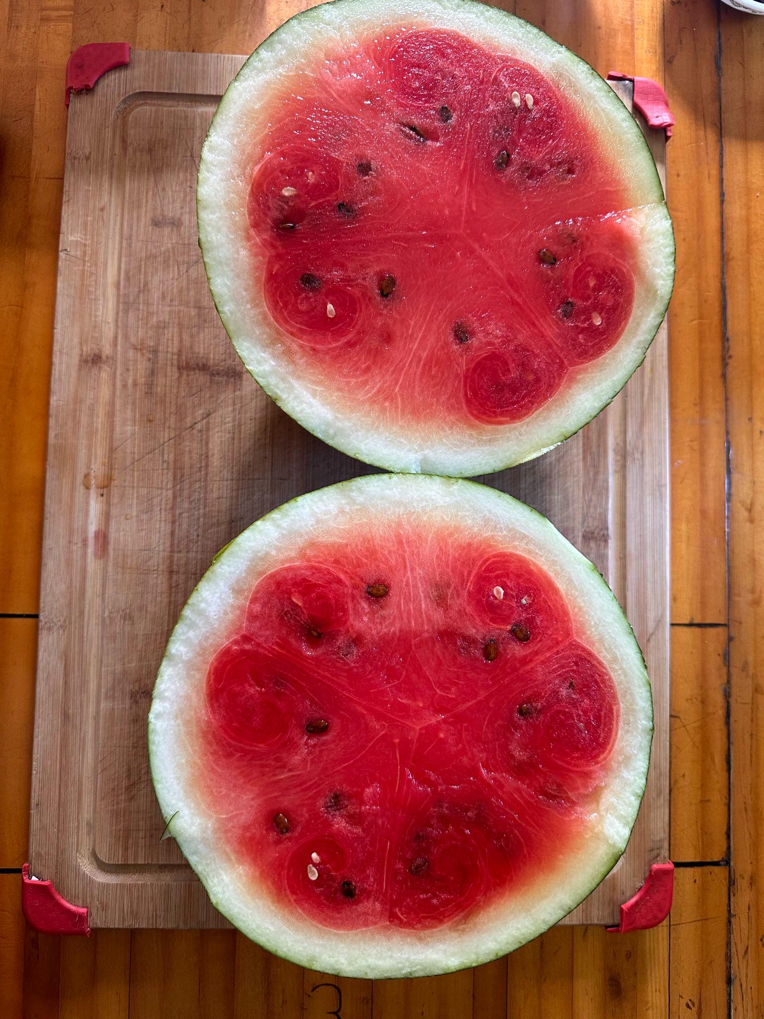 More of Ezekiel's Landrace Melons! | The Survival Gardener