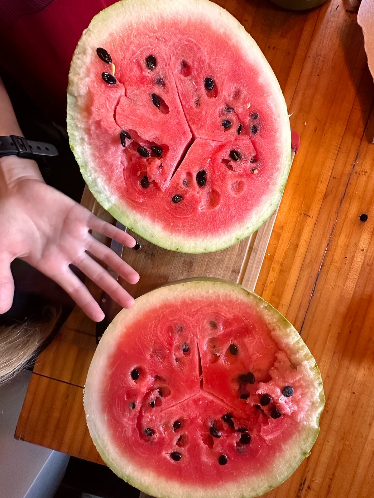 More of Ezekiel's Landrace Melons! | The Survival Gardener