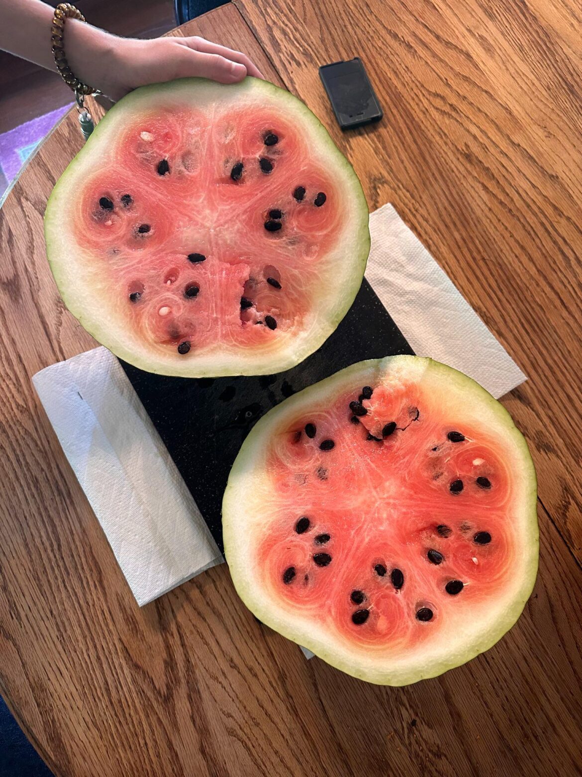 26lb Pink-Fleshed Watermelon (and a 45lb Monster Melon) | The Survival ...